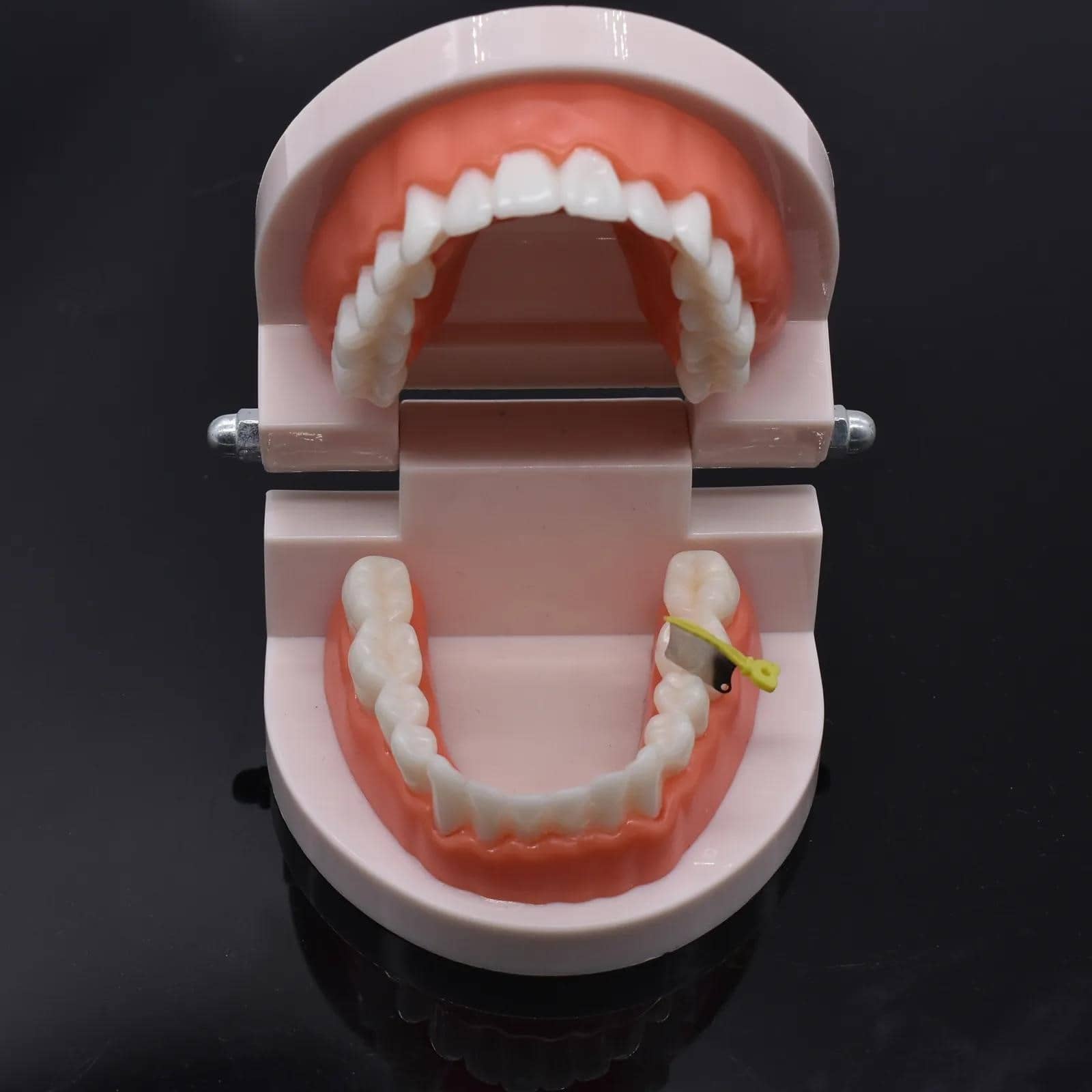 50 бр./опаковане Dental Prime Teeth Interproximal Wedge Guard с метален ...